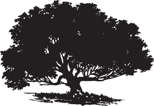 "Old Apple Tree" Images – Browse 53 Stock Photos, Vectors, and Video | Adobe Stock