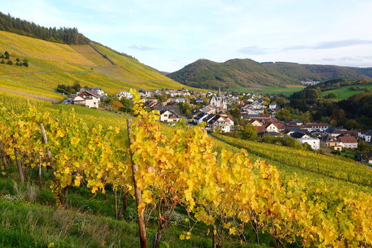 Ockfen Images – Browse 37 Stock Photos, Vectors, and Video | Adobe Stock