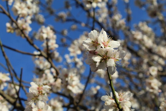 รูปภาพBrotar – เลือกดูภาพถ่ายสต็อก เวกเตอร์ และวิดีโอ16,659 | Adobe Stock