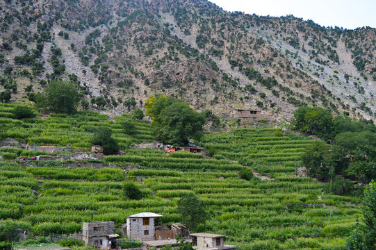 Imagens de Chilas – Explore Fotografias do Stock, Vetores e Vídeos de ...