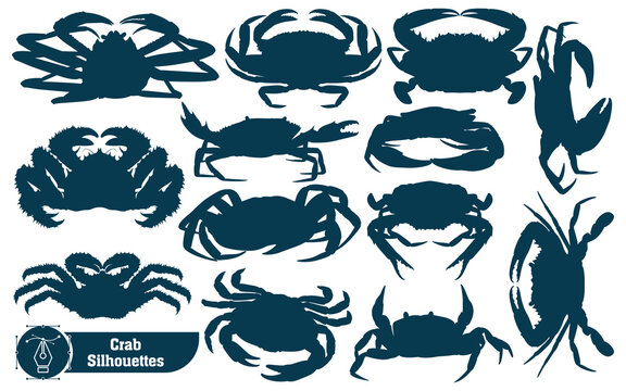 Blue Crab Silhouette