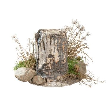 Stub Bilder – Durchsuchen 40,867 Archivfotos, Vektorgrafiken und Videos ...