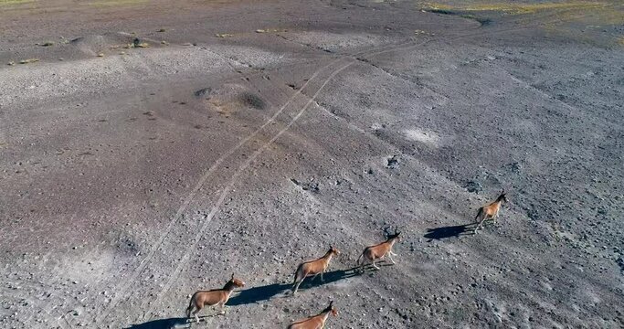 Sinkiang Bilder – Durchsuchen 1,259 Archivfotos, Vektorgrafiken und ...