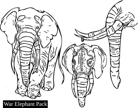 War Elephant Drawing