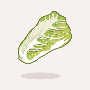 Chicory Icon Bilder – Durchsuchen 519 Archivfotos, Vektorgrafiken und ...