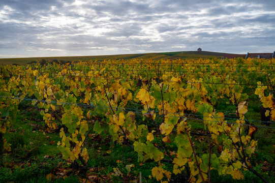 Chalky Images – Parcourir 16,640 le catalogue de photos, vecteurs et ...