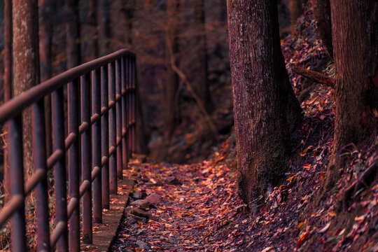 Dinusha photos, images, assets | Adobe Stock