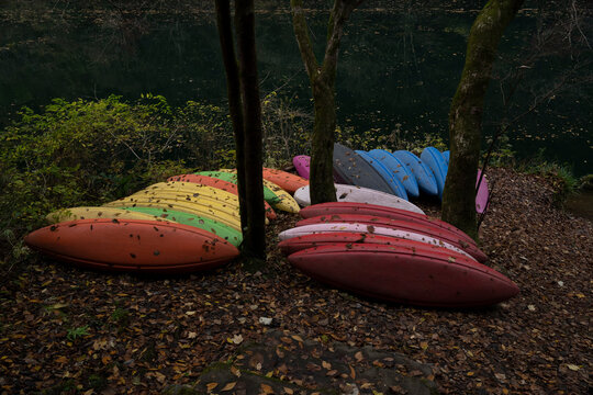 Dinusha photos, images, assets | Adobe Stock