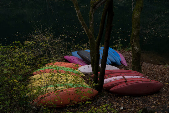 Dinusha photos, images, assets | Adobe Stock