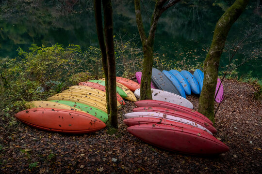 Dinusha photos, images, assets | Adobe Stock