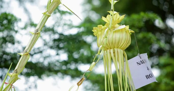 รูปภาพKuning – เลือกดูภาพถ่ายสต็อก เวกเตอร์ และวิดีโอ1,492 | Adobe Stock