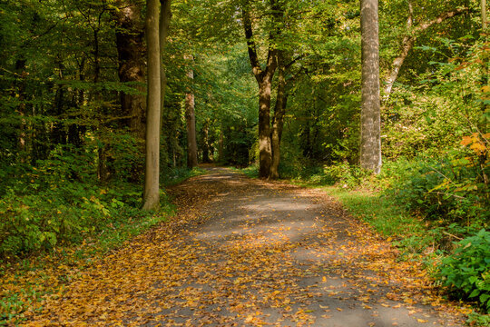 Emil Lazar photos, images, assets | Adobe Stock