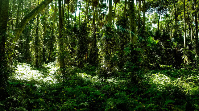 "Udon Thani" - Images et vidéos libres de droits | Adobe Stock