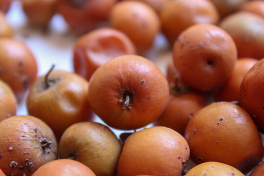 Masau Images – Browse 36 Stock Photos, Vectors, and Video | Adobe Stock