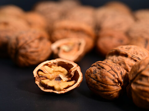 Open Nutshell Bilder – Durchsuchen 41,414 Archivfotos, Vektorgrafiken ...