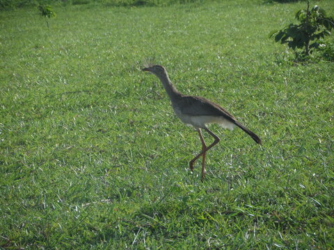 Sariema Images – Browse 45 Stock Photos, Vectors, and Video | Adobe Stock