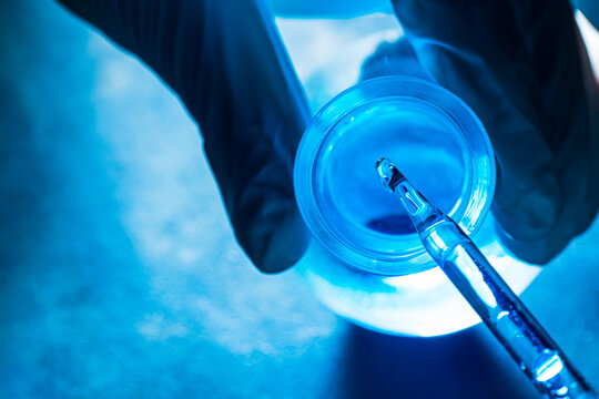 Cryobiology Images – Browse 392 Stock Photos, Vectors, and Video ...