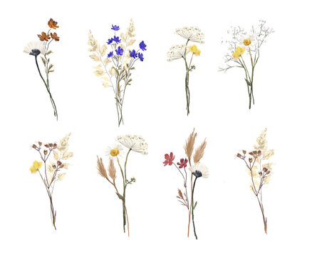 Drying Images – Browse 1,651,464 Stock Photos, Vectors, and Video ...