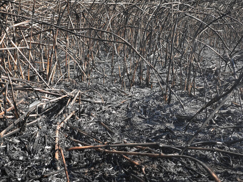 รูปภาพSun-Scorched – เลือกดูภาพถ่ายสต็อก เวกเตอร์ และวิดีโอ791 | Adobe ...