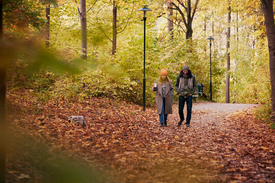 Autumn Walking Images – Browse 1,697,835 Stock Photos, Vectors, and ...