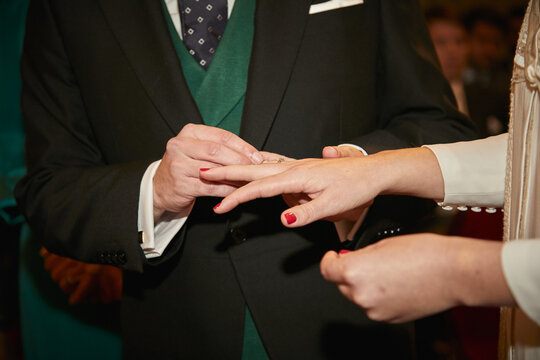 รูปภาพRing-Barking – เลือกดูภาพถ่ายสต็อก เวกเตอร์ และวิดีโอ6,078 ...