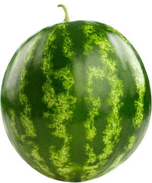 Tolerable Images – Parcourir 59,810 le catalogue de photos, vecteurs et ...