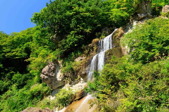 รูปภาพCatamite – เลือกดูภาพถ่ายสต็อก เวกเตอร์ และวิดีโอ1,098 | Adobe Stock