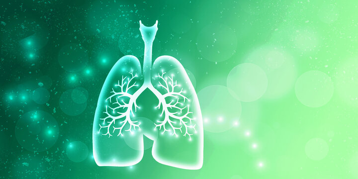 Windpipe Images – Browse 1,819 Stock Photos, Vectors, and Video | Adobe ...