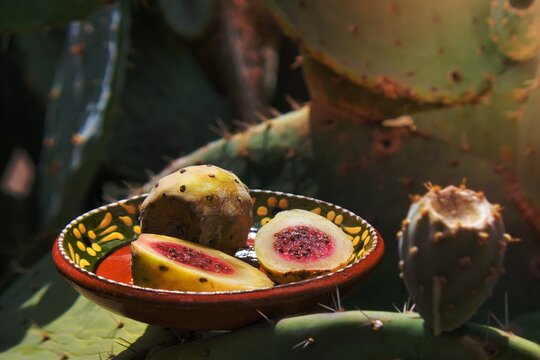 Imágenes de Xoconostle: descubre bancos de fotos, ilustraciones ...