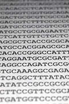 Human Dna Sequence Example