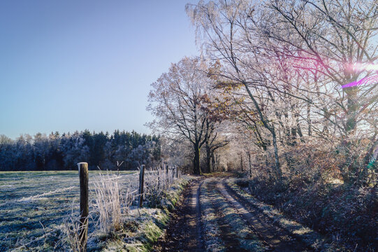 Gelant Images – Browse 28 Stock Photos, Vectors, and Video | Adobe Stock