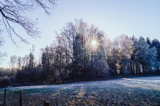 Gelant Images – Browse 29 Stock Photos, Vectors, and Video | Adobe Stock