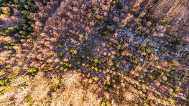 Gelant Images – Browse 28 Stock Photos, Vectors, and Video | Adobe Stock