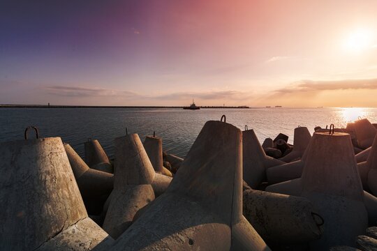 Tetrapods Imagens – Procure 15,344 fotos, vetores e vídeos | Adobe Stock