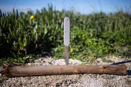 Feitel Bilder – Durchsuchen 11,773 Archivfotos, Vektorgrafiken und ...