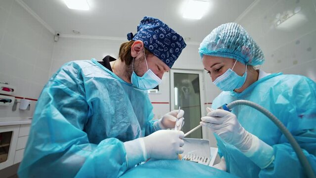 Geifer Bilder – Durchsuchen 28,089 Archivfotos, Vektorgrafiken und ...