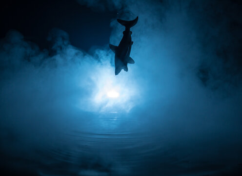 Baneful 이미지 – 찾아보기 121,263 스톡 사진, 벡터 및 비디오 | Adobe Stock