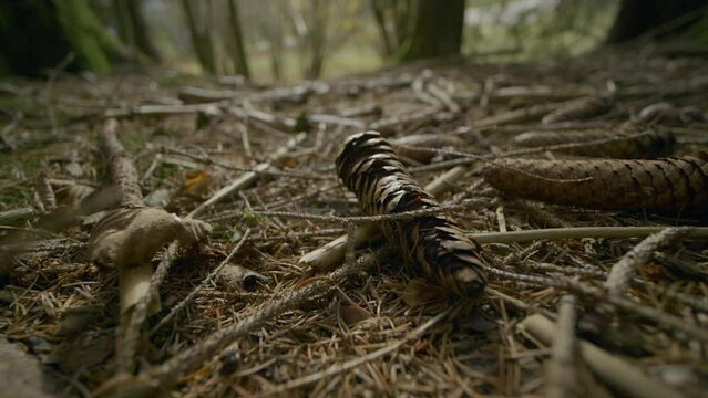 "Ground Shot" Bilder – Durchsuchen 229 Archivfotos, Vektorgrafiken und ...