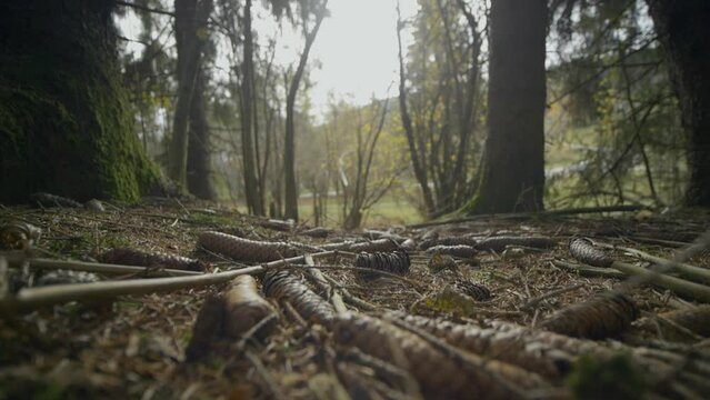 "Ground Shot"-Bilder: Stock-Fotos & -Videos. | Adobe Stock