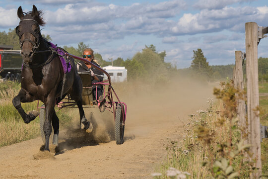 Sulkies Bilder – Durchsuchen 5,847 Archivfotos, Vektorgrafiken und ...