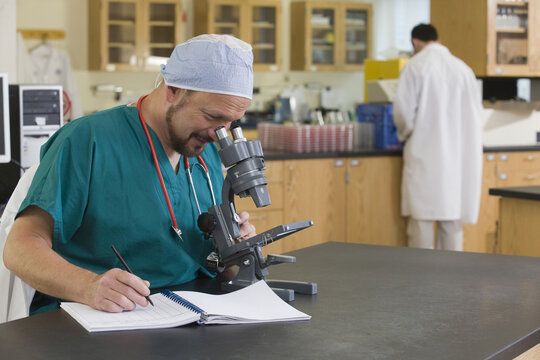 Stichprobe Bilder – Durchsuchen 1,474,044 Archivfotos, Vektorgrafiken ...