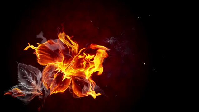 "Fire Flower" Images – Browse 1,081 Stock Photos, Vectors, and Video ...