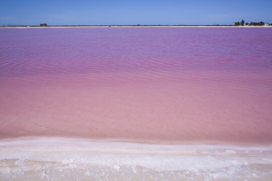 Las Coloradas Mexico Bilder – Durchsuchen 616 Archivfotos ...