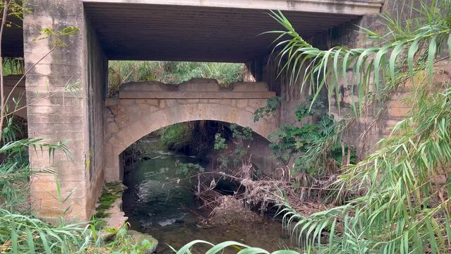 Eliana Images – Browse 143 Stock Photos, Vectors, and Video | Adobe Stock