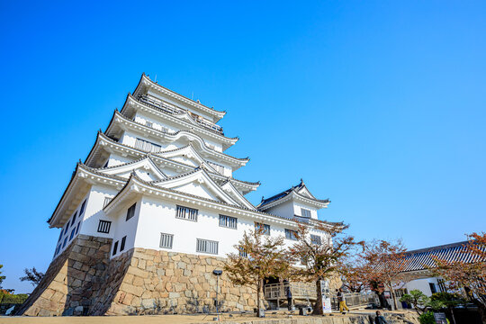 Ku bilder – Bläddra bland 33,563 stockfoton, vektorer och videor ...