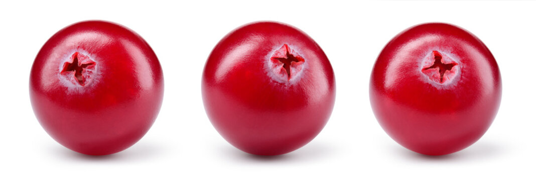 รูปภาพMooseberry – เลือกดูภาพถ่ายสต็อก เวกเตอร์ และวิดีโอ2,682 | Adobe ...