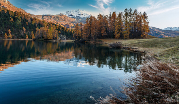 Champfer Images – Browse 318 Stock Photos, Vectors, and Video | Adobe Stock