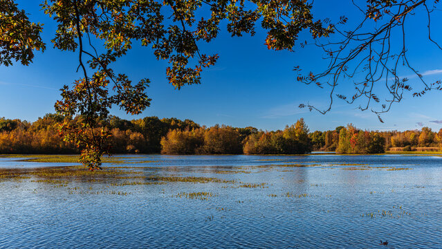 Äsen Bilder – Durchsuchen 47,563 Archivfotos, Vektorgrafiken und Videos ...