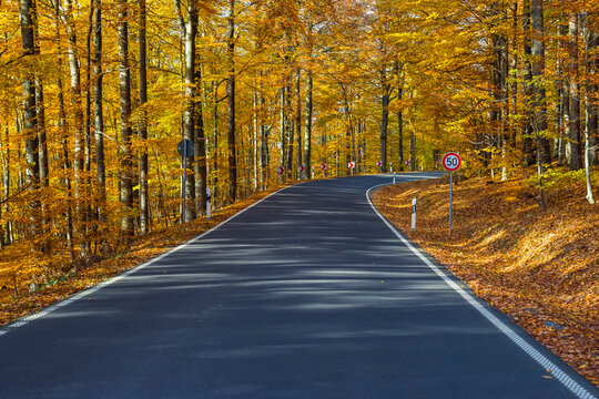 Limits bilder – Bläddra bland 340,686 stockfoton, vektorer och videor ...