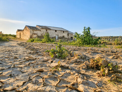 Cuarteada Images – Browse 54 Stock Photos, Vectors, and Video | Adobe Stock